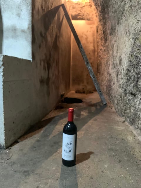 Guided tour of Bodegas J.F. Iradier, Rioja Alavesa | GetYourGuide