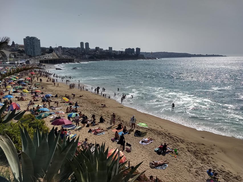 Authentic Viña del Mar: Garden City Highlights | GetYourGuide