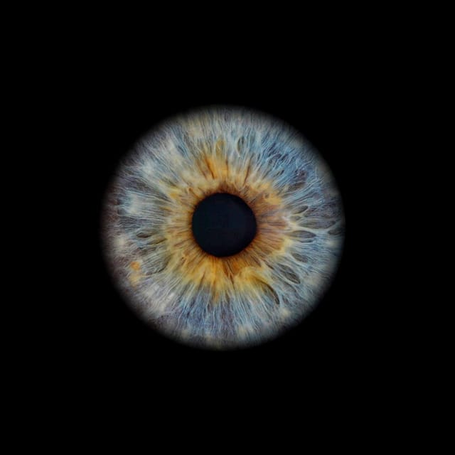 Photo Iris: Discover the unique beauty of your eyes | GetYourGuide