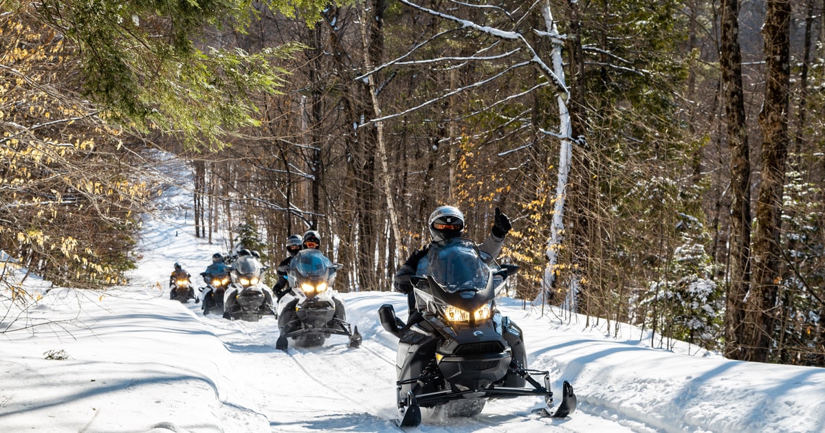 Laurentians: Snowmobile Guided Tour | GetYourGuide