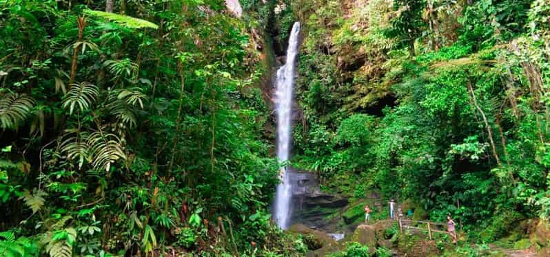 Ahuashiyacu Waterfalls Tour | GetYourGuide