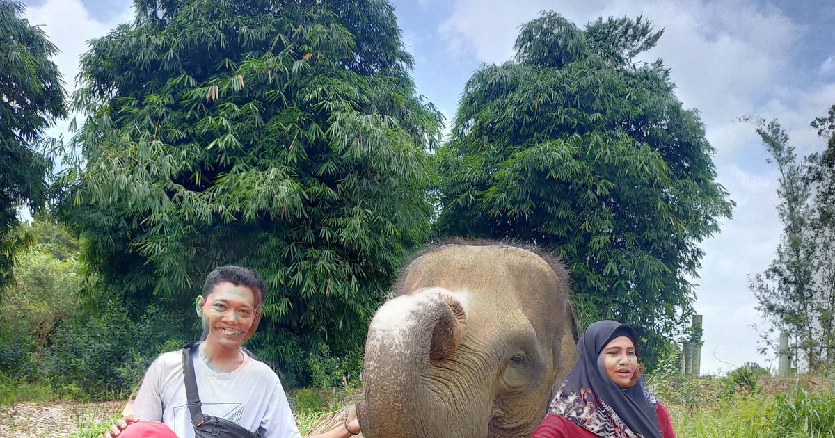 Bintan Safari Lagoi + Honey & Eco Farm Tour | GetYourGuide