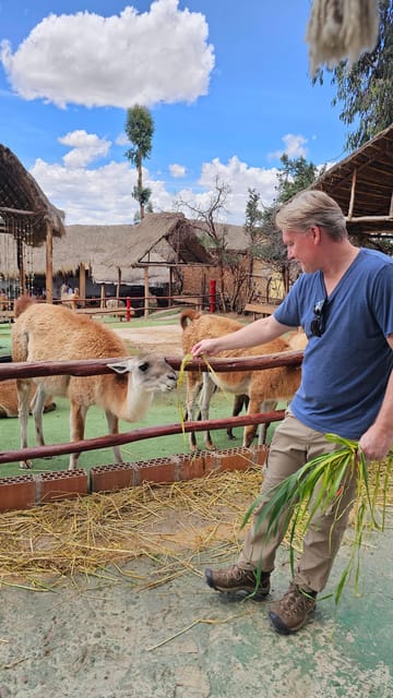 Cusco: Alpaca and Llama Farm Tour w/ Transfer & Weaving Demo | GetYourGuide Cusco: Alpaca and Llama Farm Tour w/ Transfer & Weaving Demo | GetYourGuide