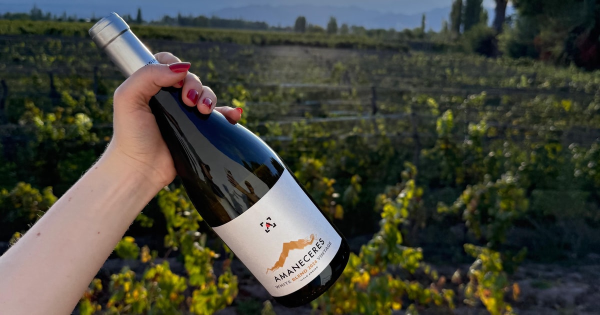 Mendoza: Bodega Ciclo Andino Wine Tasting with Snacks | GetYourGuide
