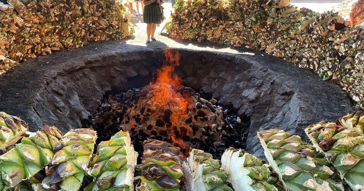 Mezcal Tour Oaxaca | GetYourGuide