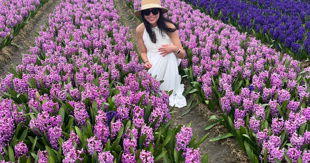 Lisse: Private Tulip Fields Tour with a Local Guide | GetYourGuide