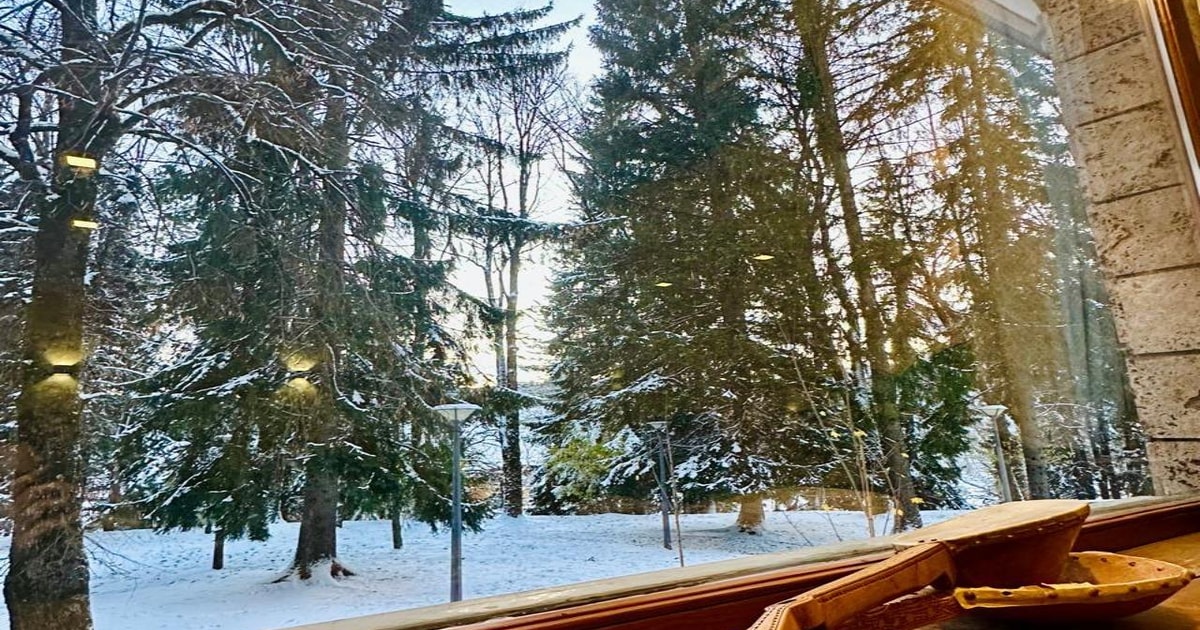 Kotor: Kolasin Ski & Winter Adventure Day Trip | GetYourGuide