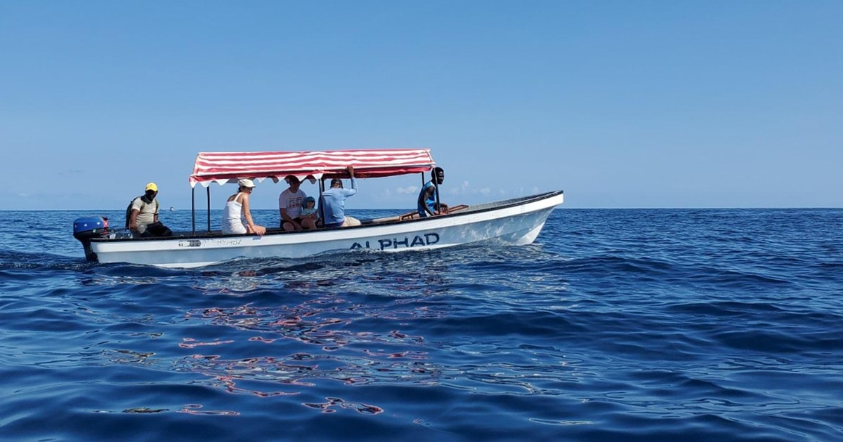 Mnemba Island Tour with Transfer | GetYourGuide