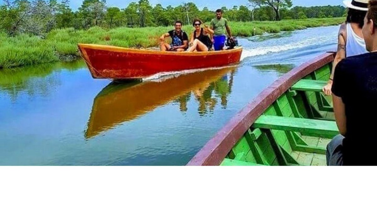 From Durres: Karavasta Lagoon & Apolonia Ancient City Tour | GetYourGuide