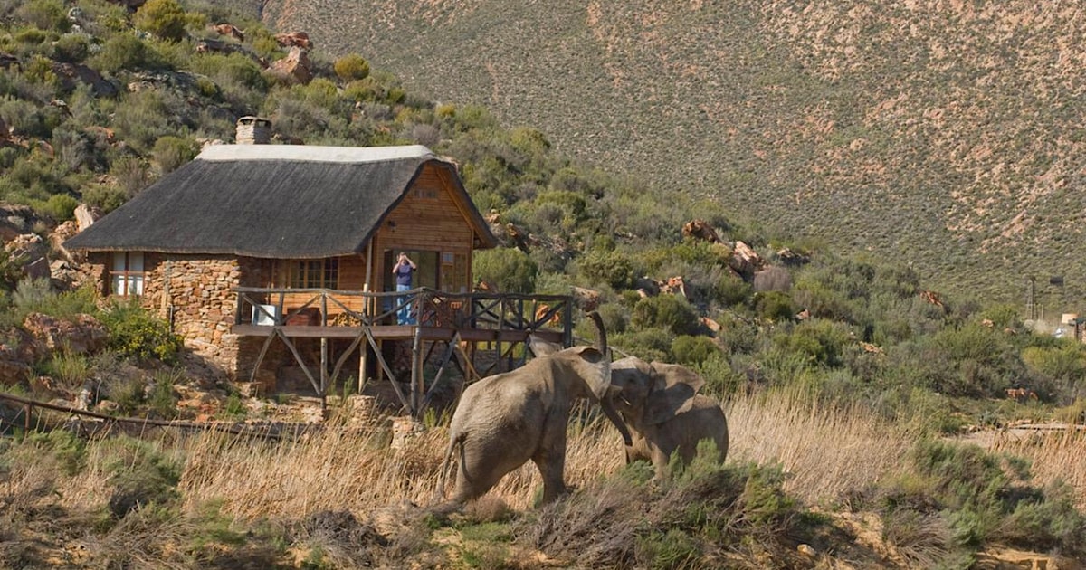 Self drive Aquila Safari Game Reserve Sunset Game Drive | GetYourGuide