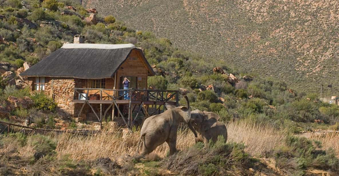 Self drive Aquila Safari Game Reserve Sunset Game Drive | GetYourGuide