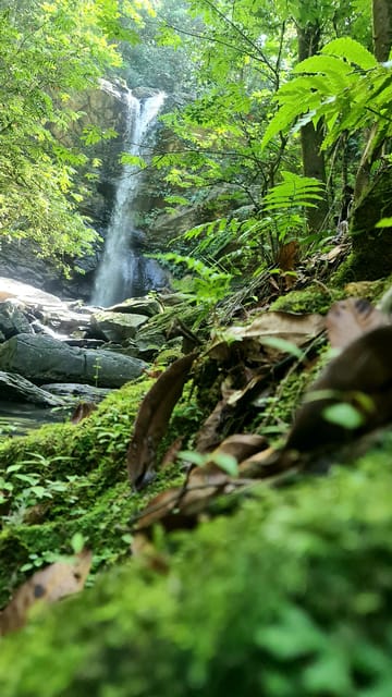 Trinidad: Avocat Waterfall and Maracas Bay Beach Tour | GetYourGuide