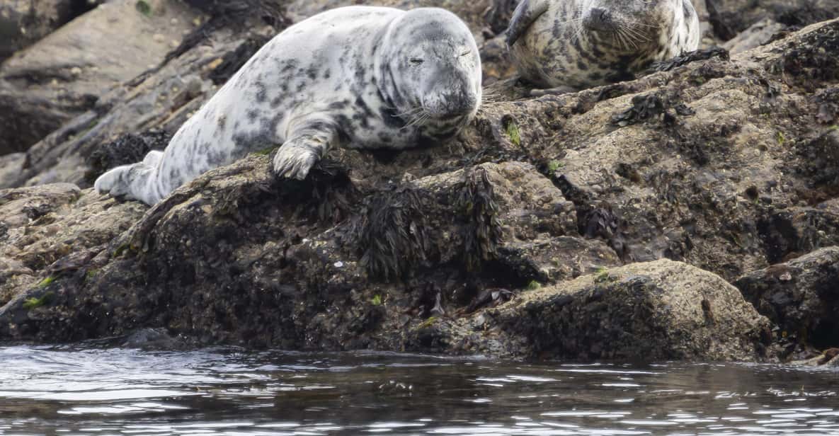 Mounts Bay, Penzance Boat Trip | GetYourGuide