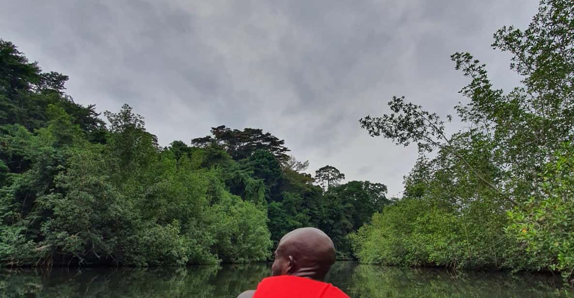 Guinea Equatoriale: Giro in canoa tra le mangrovie e visita alla ...