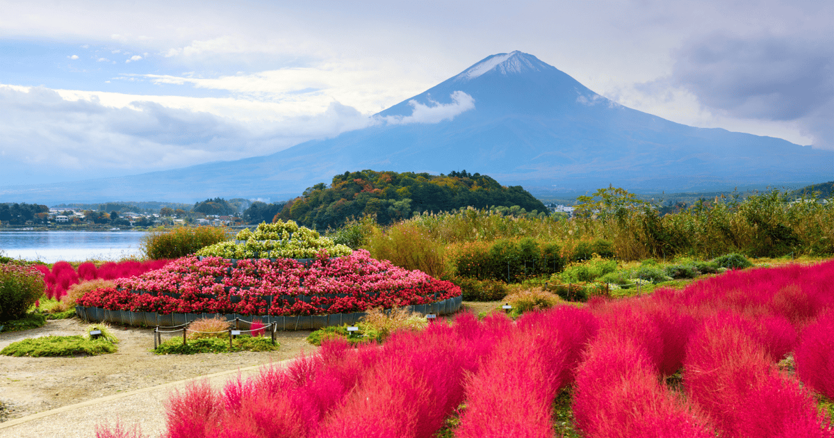 Da Tokyo: escursione privata di un giorno al Monte Fuji e ai Cinque ...