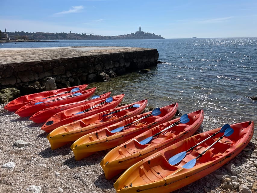 Rovinj: EXCURSIONES EN KAYAK, snorkel, saltos por acantilados, natación ...