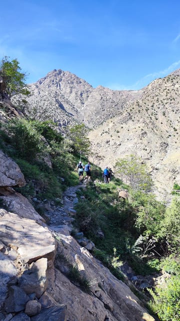 Crossing the summit of 4000m in the high atlas mountains | GetYourGuide