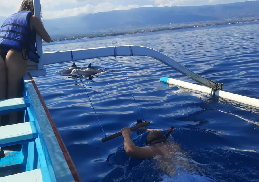 Lovina Bali: Watching dolphin, Swimming & Snorkeling Package | GetYourGuide
