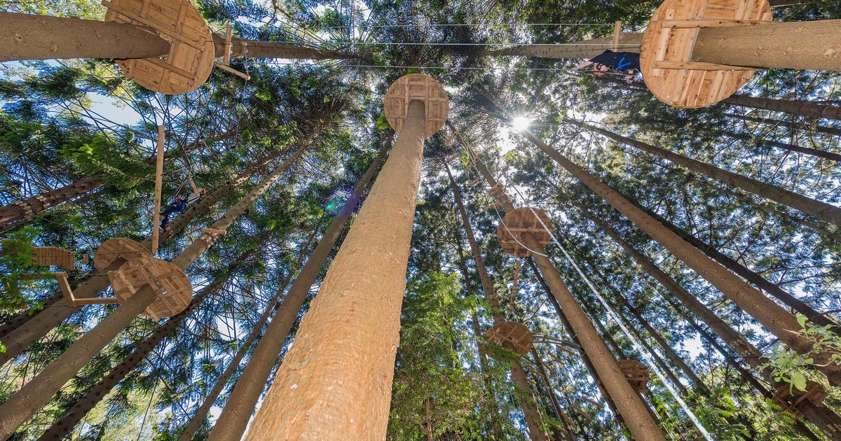 Pennant Hills: Tree Ropes Course Session | GetYourGuide