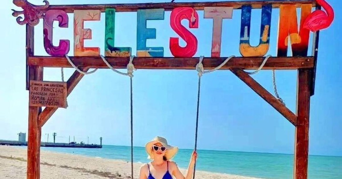 Merida: Excursion to Celestun, Swimming, Hiking & Boat Ride | GetYourGuide
