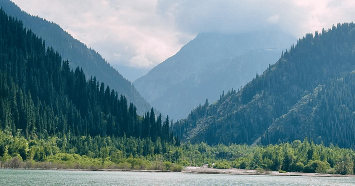 Private: Issyk lake, museum of Golden Man, Trout farm | GetYourGuide