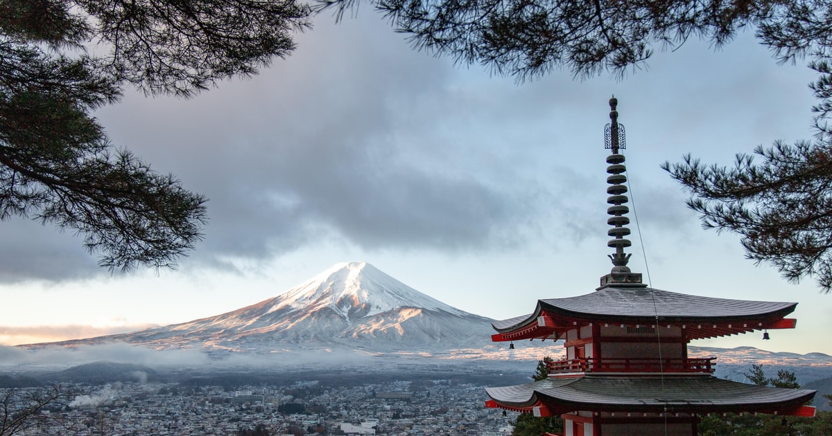 Von Tokio aus: Private Tagestour zum Berg Fuji und nach Hakone | GetYourGuide