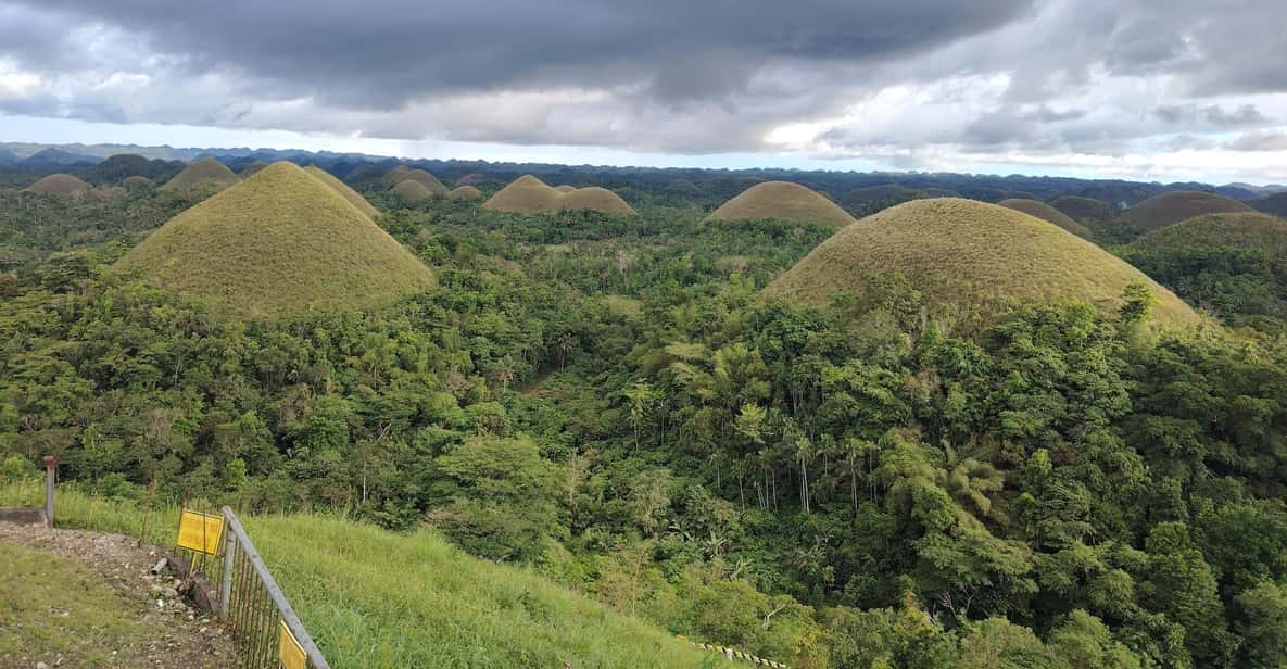 BOHOL: Schokoladenhügel, Schildkröten und Loboc-Fluss Tagestour ...