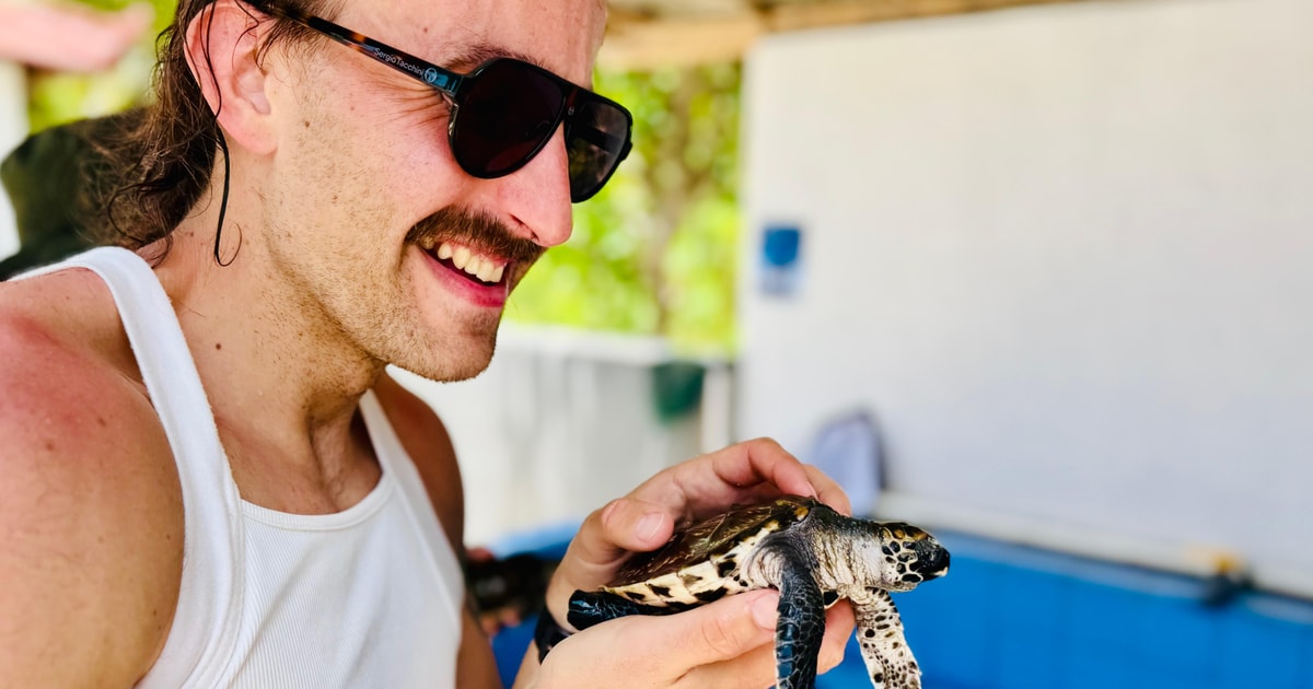 Bali: Nusa Penida: Turtle Conservation, Massive Cave Temple | GetYourGuide