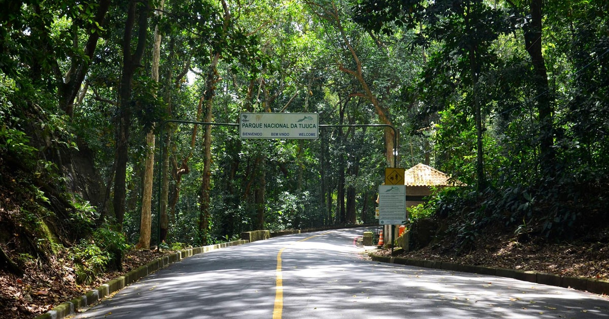 Rio de Janeiro : visite guidée de la forêt de Tijuca avec prise en ...