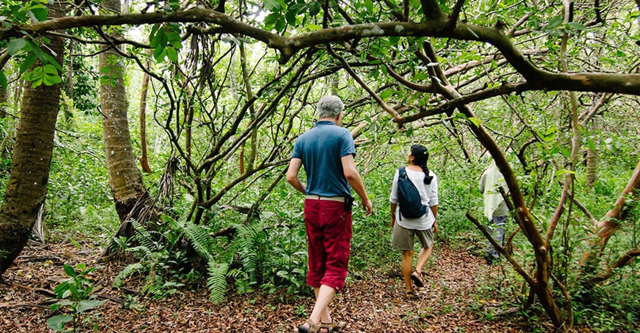 Jozani Forest Tour | Private Tour in Zanzibar city