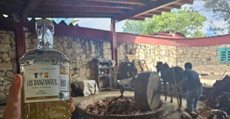 Oaxaca: Hierve el Agua, Mezcal Distillery, and Lunch Tour | GetYourGuide