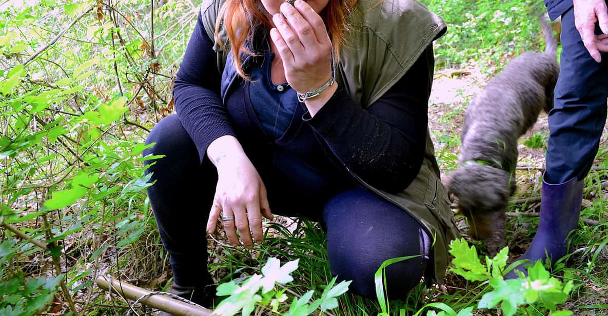 San Miniato: Caça às trufas, comida e experiência gourmet | GetYourGuide