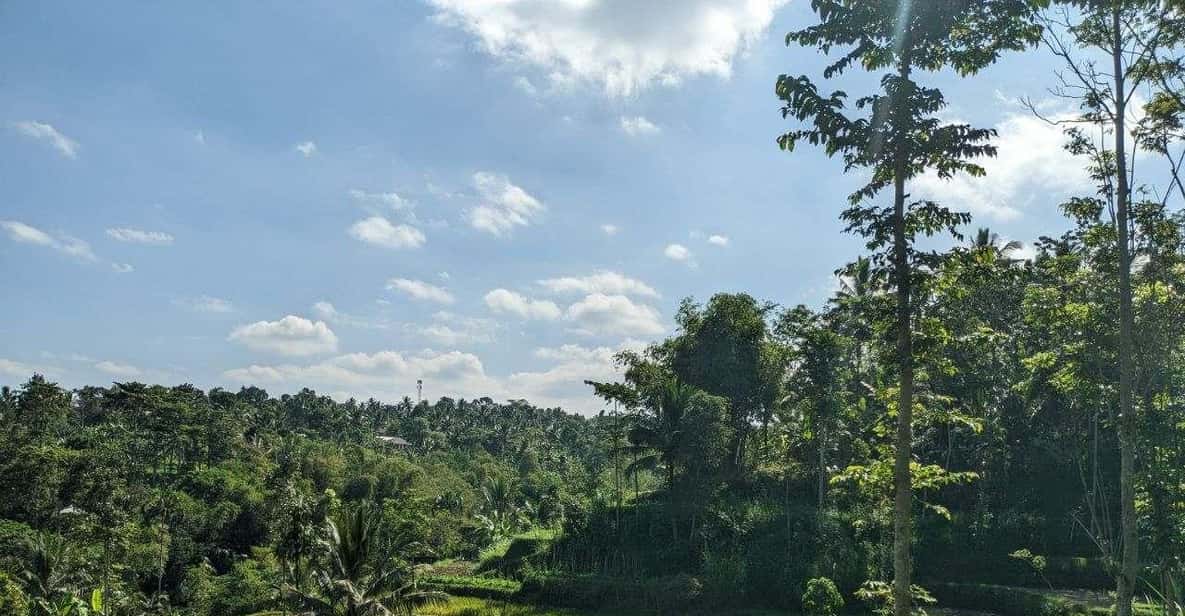Tetebatu: Privat Tour Rice Terrace, Waterfall, Monkay forest | GetYourGuide