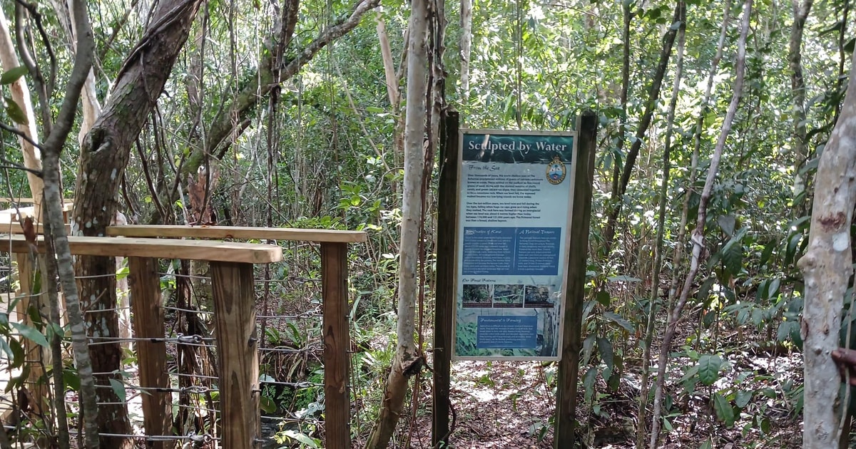 Visita guiada a pie por la Naturaleza Primigenia | GetYourGuide