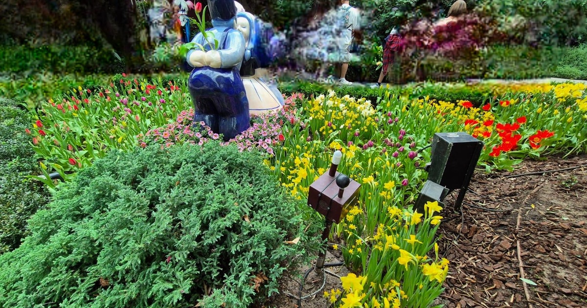 Explore Local Gems: An Unforgettable Guided Adventure | GetYourGuide