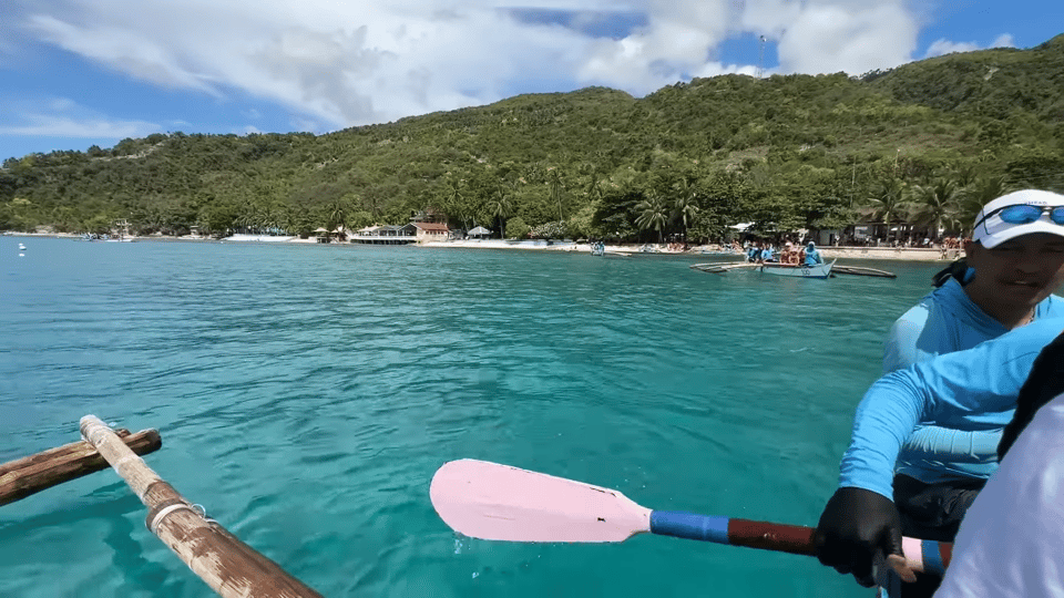 Cebu:Whale Shark Encounter &Moalboal Sardines &Turtle Thrill | GetYourGuide