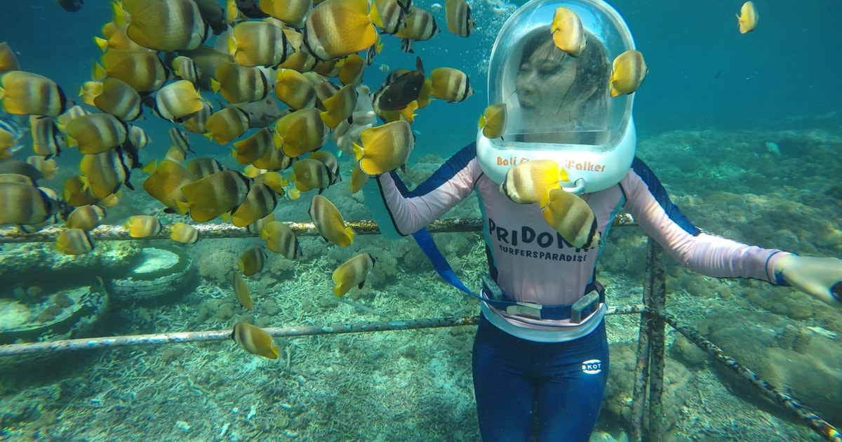 バリ オーシャン ウォーカー: ヌサ ドゥアの海の上を歩く | GetYourGuide