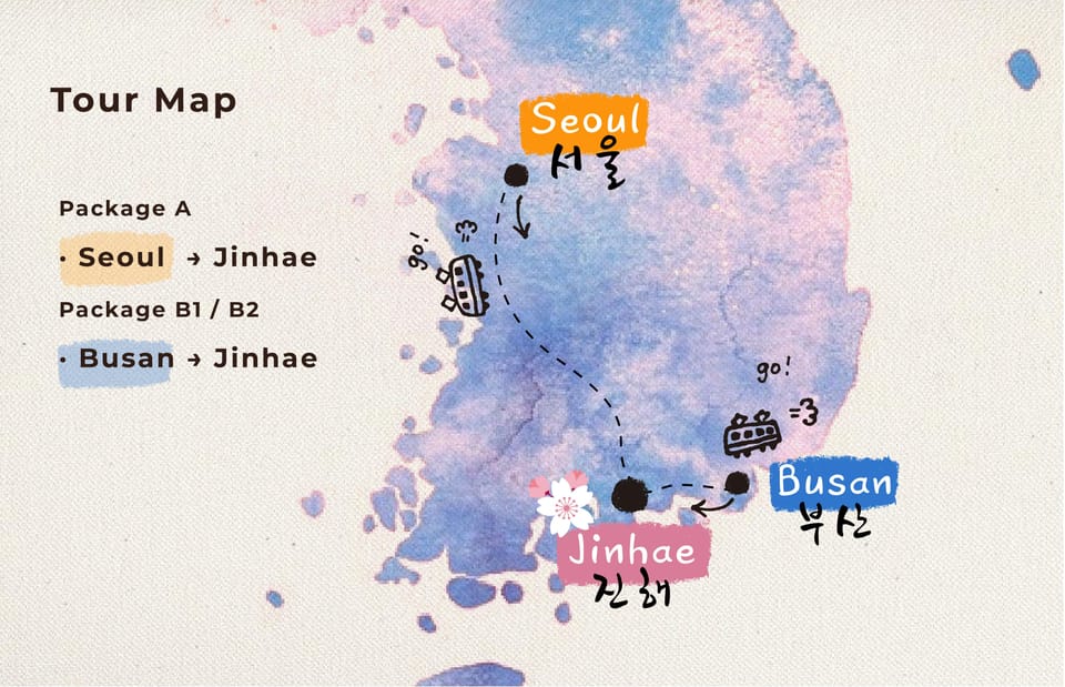 Jinhae Cherry Blossom One Day Tour From Busan | GetYourGuide