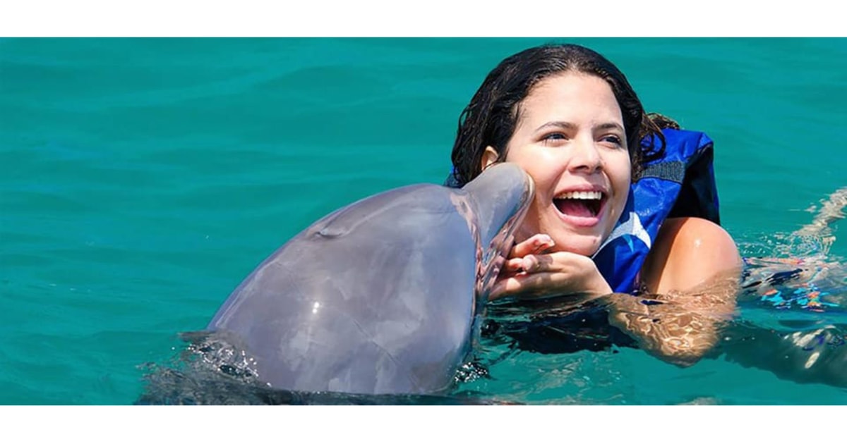Punta Cana: Dolphin Explorer Park Entry, Swim, or Encounter | GetYourGuide