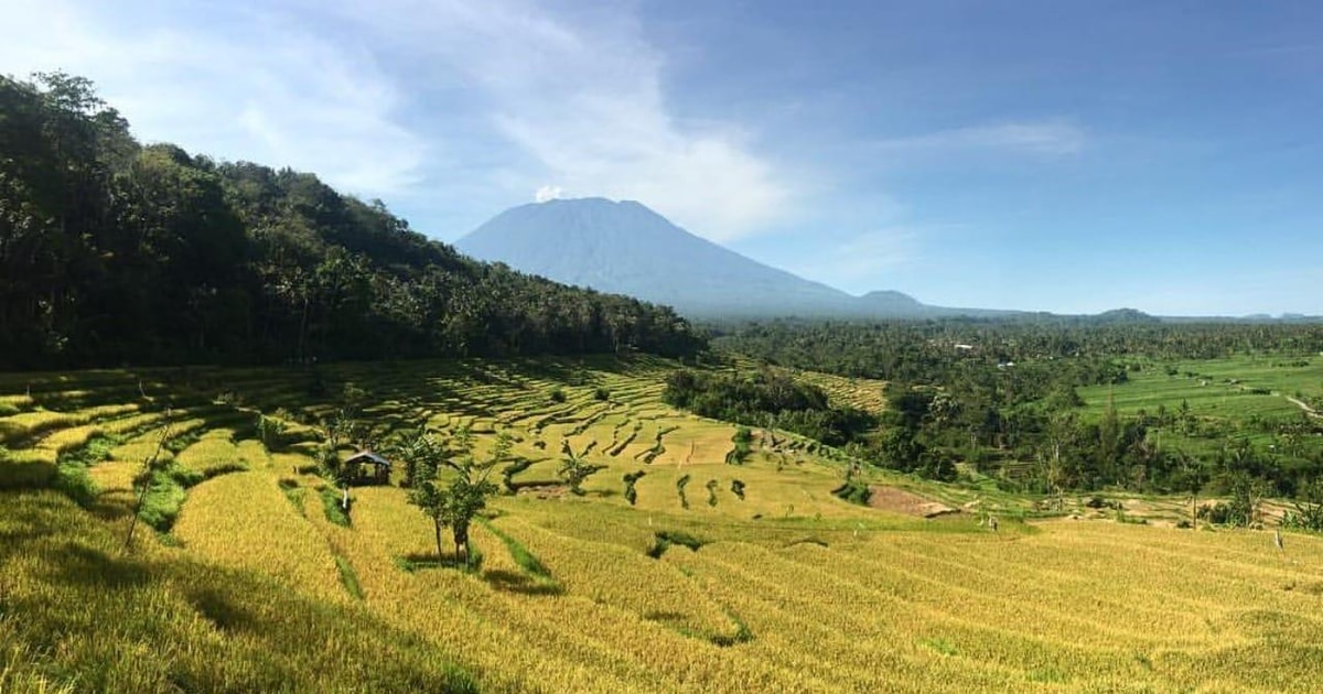 Bali : Rizière de Kastala, Trekking à Tenganan et Plage Vierge ...