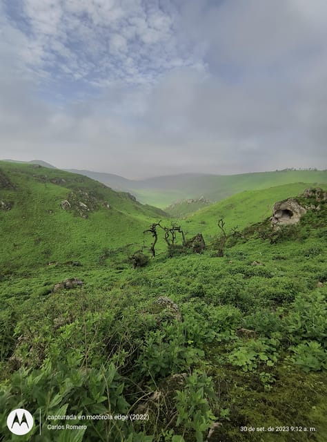 Hiking Lomas de Lachay in Lima | GetYourGuide