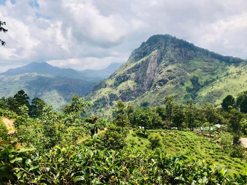 Sri Lanka cultural tour with hill country rain trip | GetYourGuide
