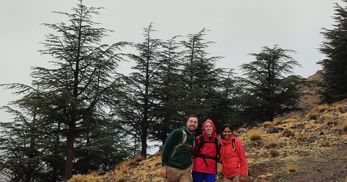 Un Trek di un giorno nella valle dell'Ourika da Marrakech | GetYourGuide