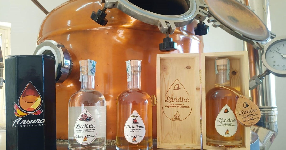 Tempio Pausania: Vizitați un atelier de distilare cu degustare ...