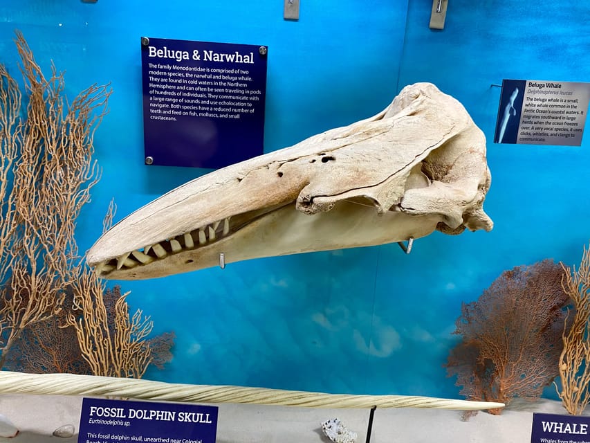 Oklahoma City: SKELETONS: Museum of Osteology Ticket | GetYourGuide
