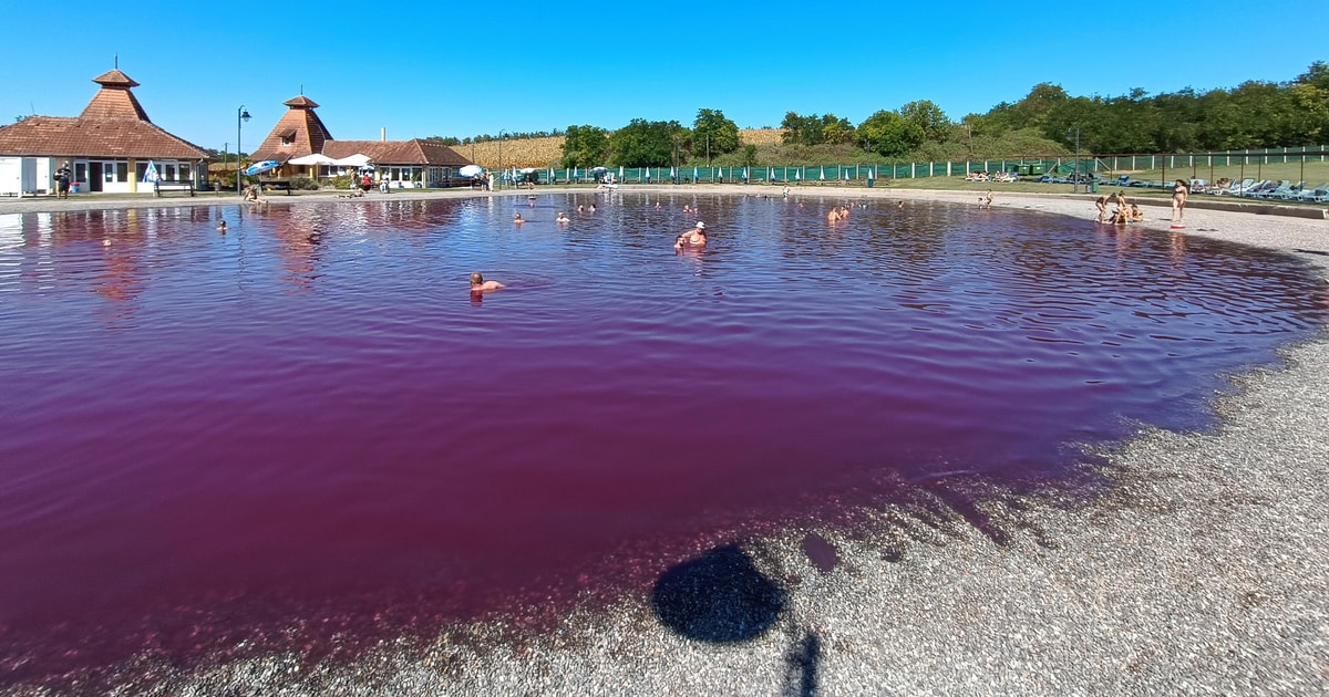 From Belgrade: Pink lake - Pacir Thermal spa | GetYourGuide
