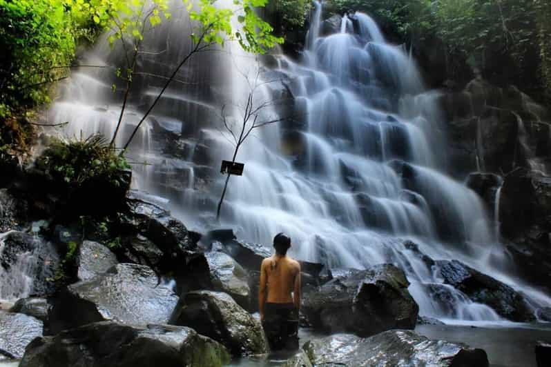Ubud: Excursión a la cascada y club de día Cretya (tour privado ...