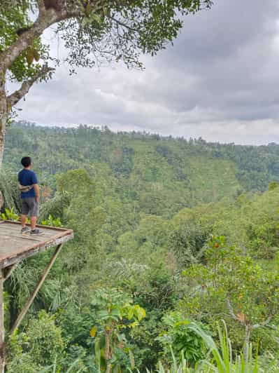 Bali: Highlights Tour to Kintamani Hill and Ubud Surrounding | GetYourGuide