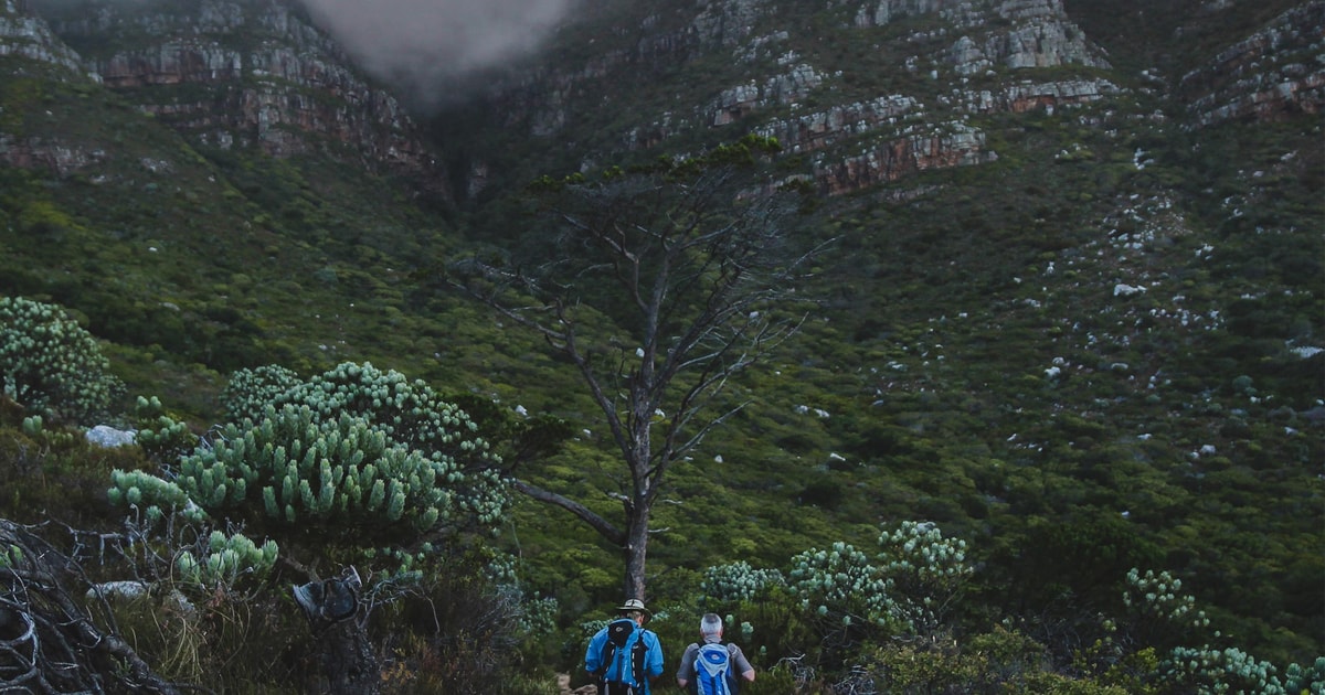 Table Mountain: Skeleton Gorge Hike | GetYourGuide