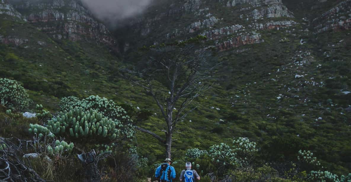 Table Mountain: Skeleton Gorge Hike | GetYourGuide